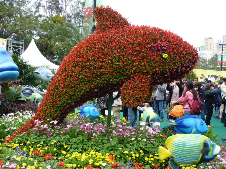 Hong Kong Flower Show 2011: It’s all coming up roses (and tulips… and ...